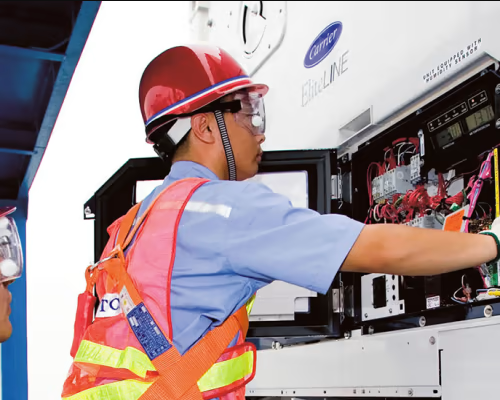 Inicio - Cold Services